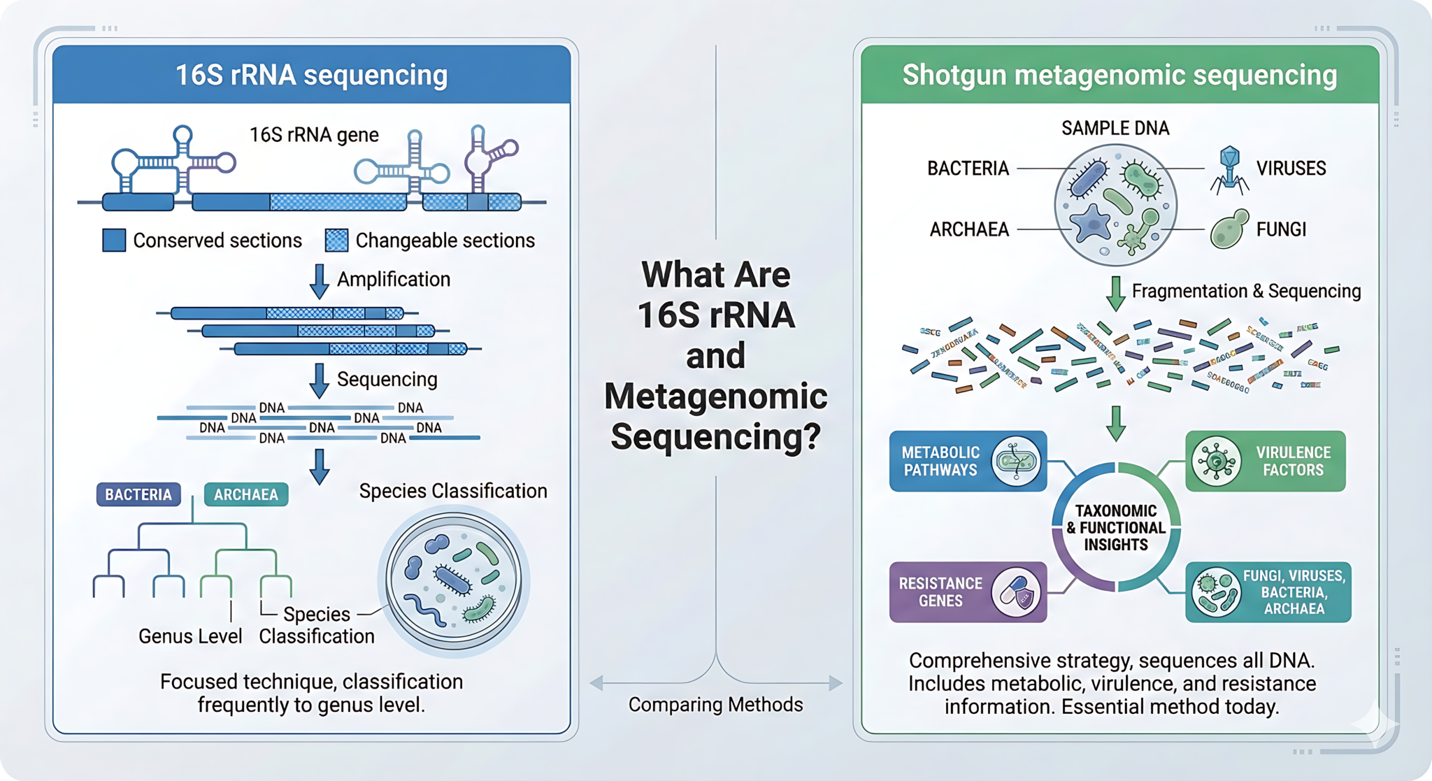 Difference Between 16S rRNA and Metagenomic Sequencing